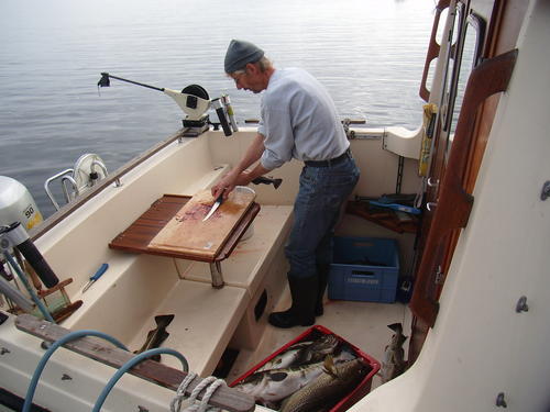 Fiske och familjebåt? - MotorbåtSnack - Maringuiden