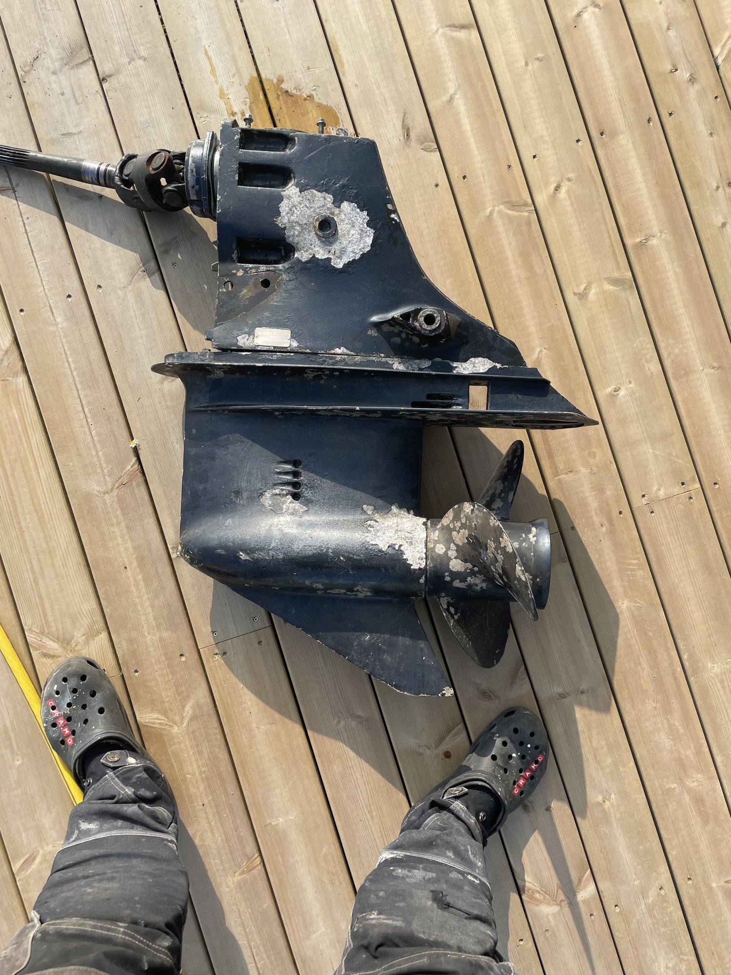 Bayliner 1952 -88 vilket drev? - MotorbåtSnack - Maringuiden